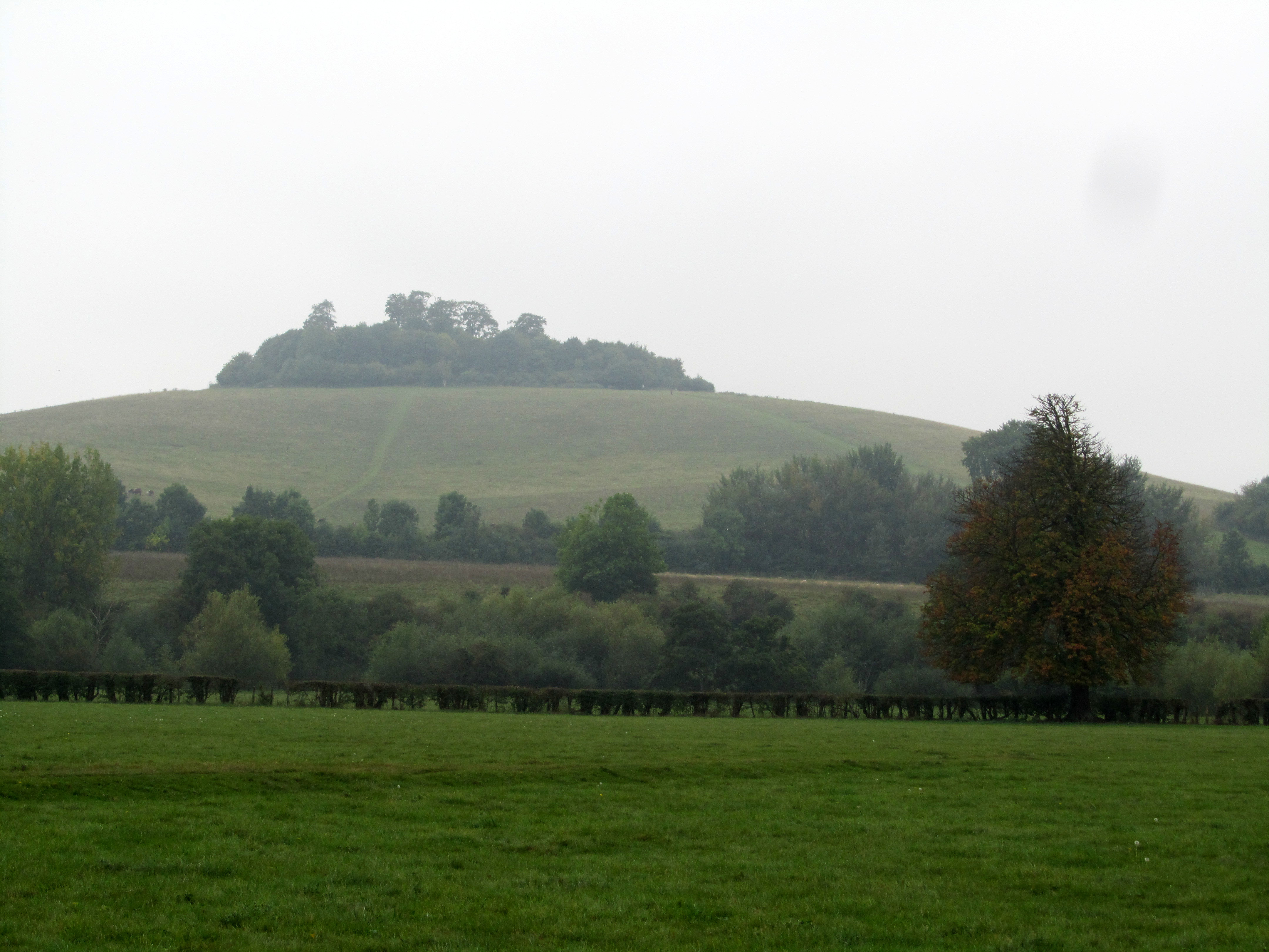 Wittenham Clumps Frames Of Reference Wittenham Clumps Frames Of Reference